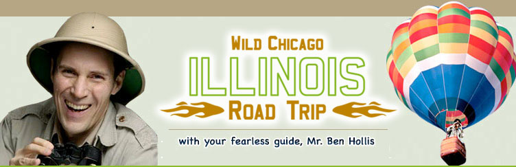 Wild Chicago: About the Show - WTTW