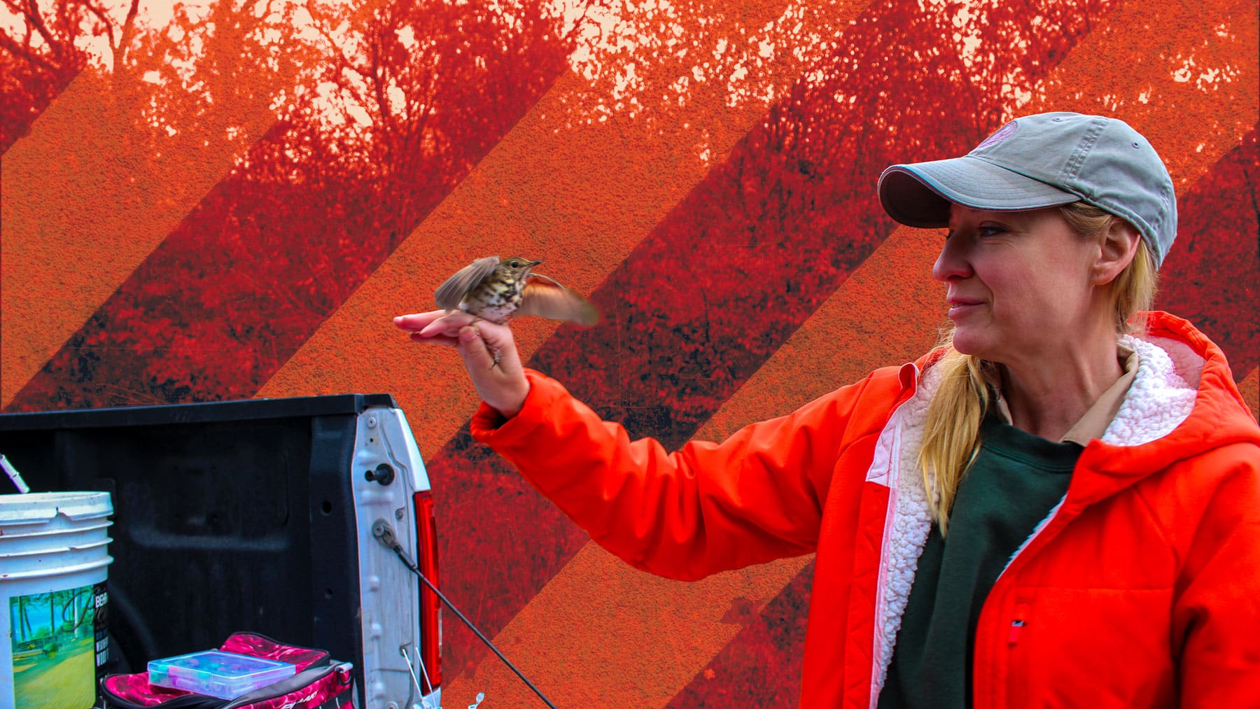 On the Job with a Cook County Wildlife Biologist During Fall Migratory ...
