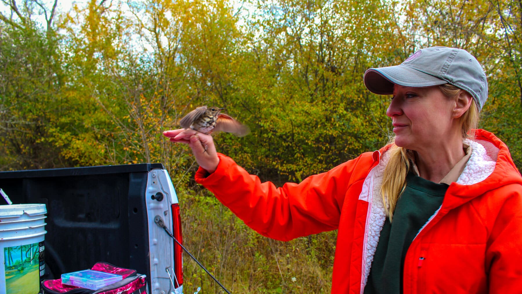 On the Job with a Cook County Wildlife Biologist During Fall Migratory ...