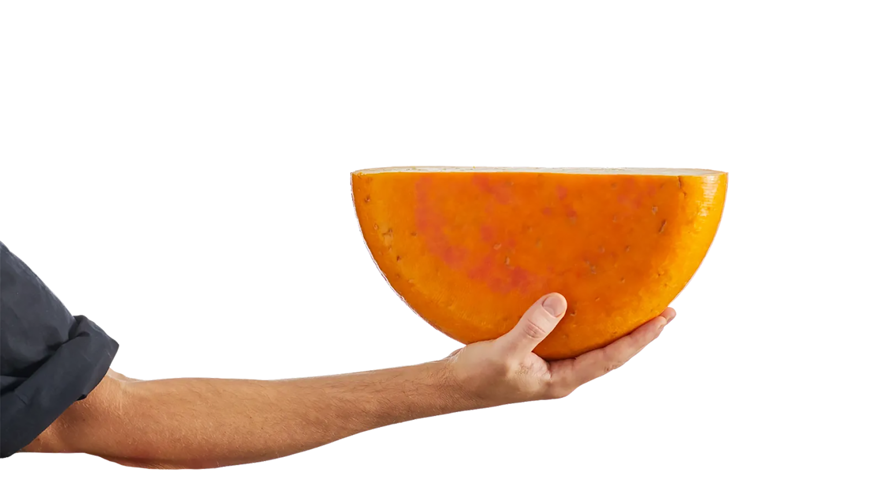 The Food and Beverage Industry is in Good Hands with a Chicago Hand ...