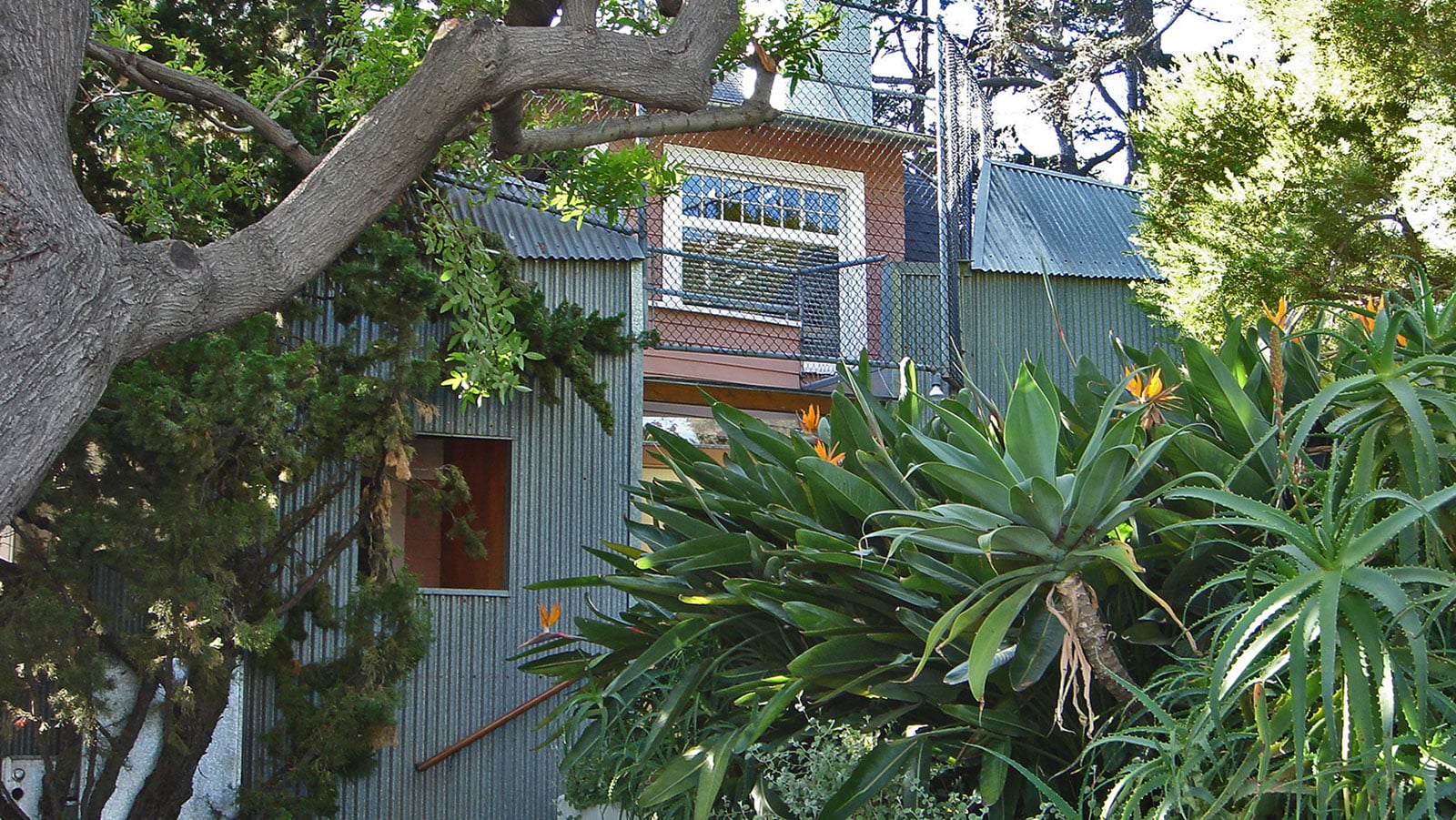 The Frank Gehry House | WTTW Chicago
