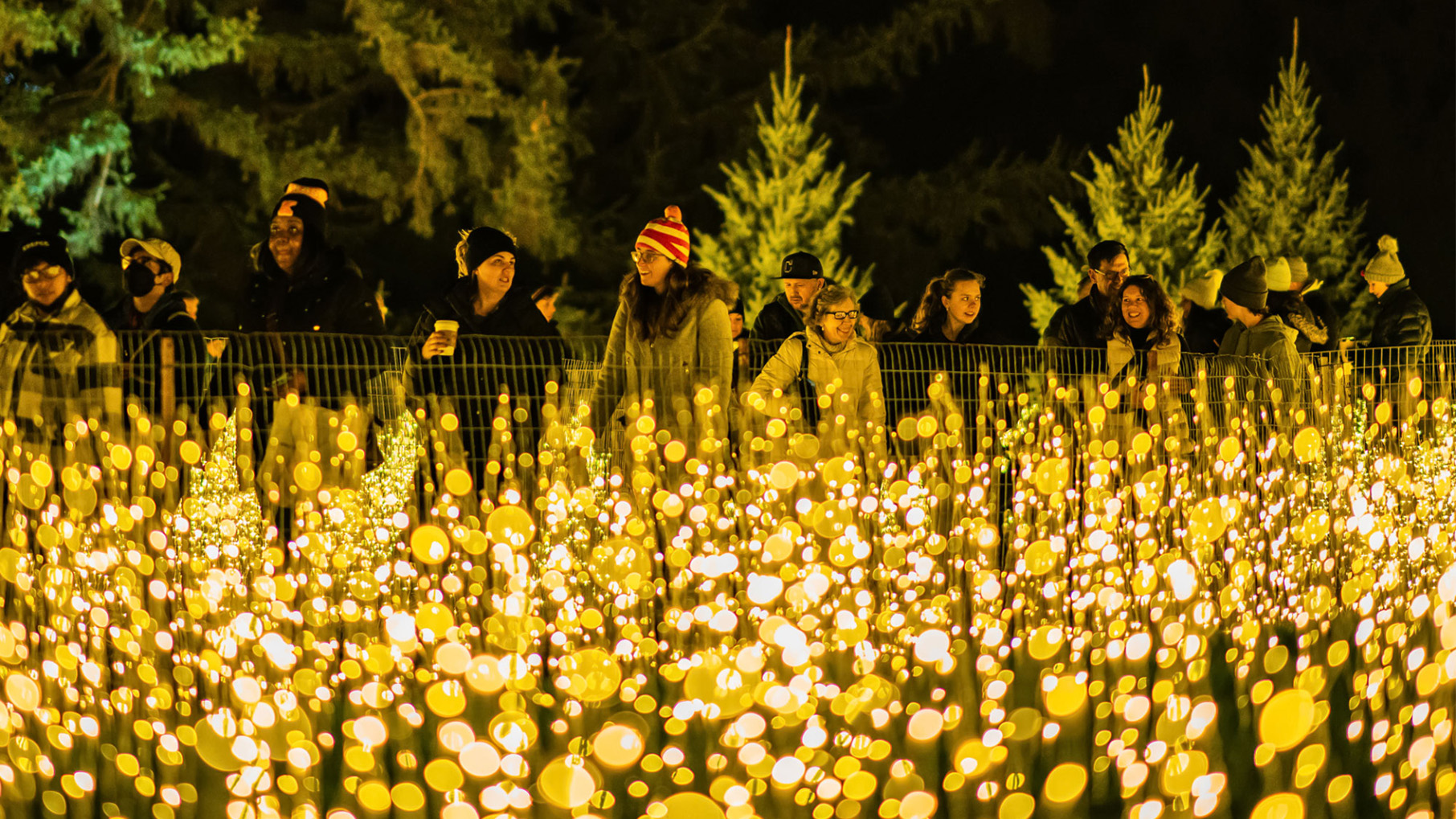 Light Up Your Holiday Season with These Chicago Area Light Shows | WTTW ...