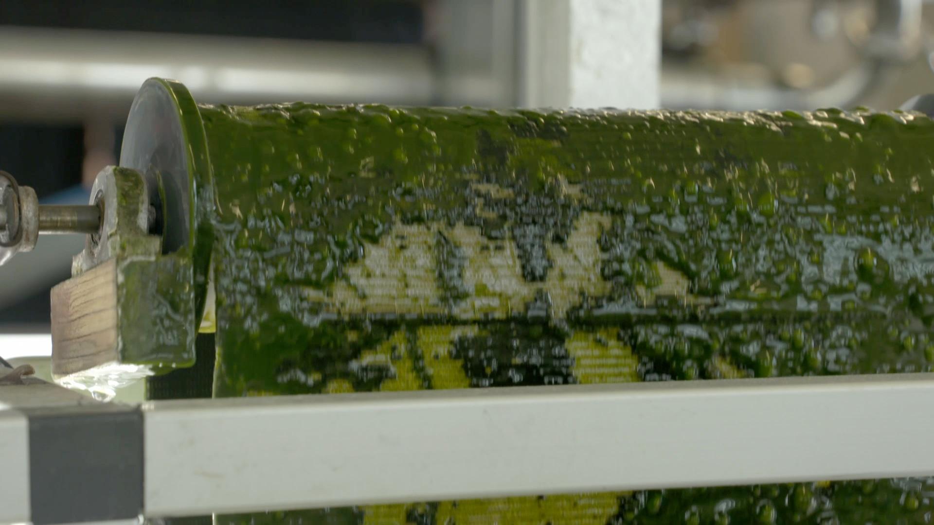 Video | The Union Stockyards | Chicago Stories | WTTW Chicago