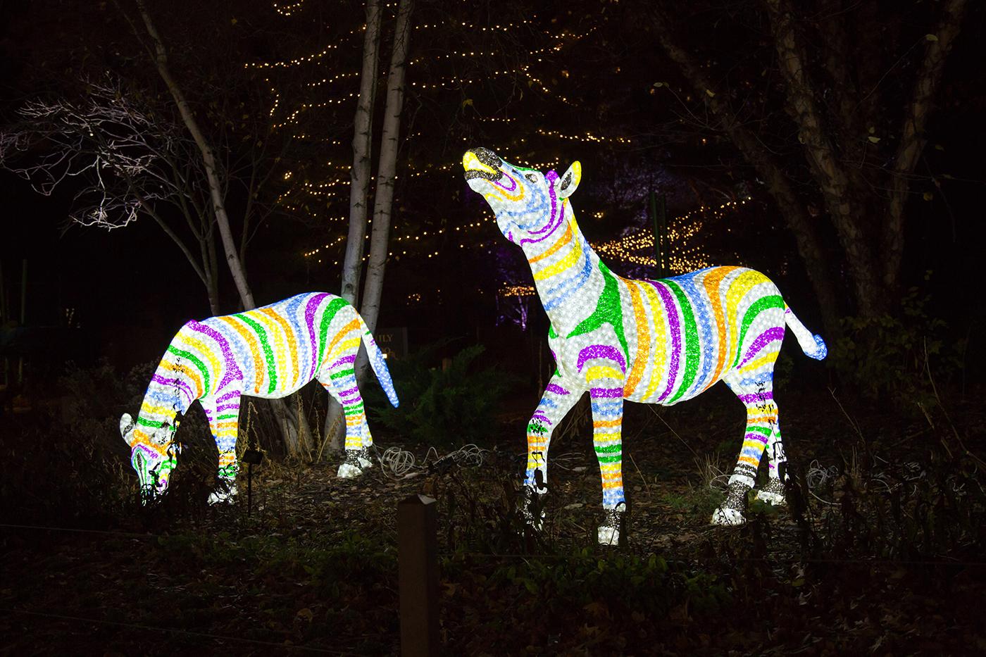 Lincoln Park ZooLights and Its More Than Two Million Lights Are Back ...