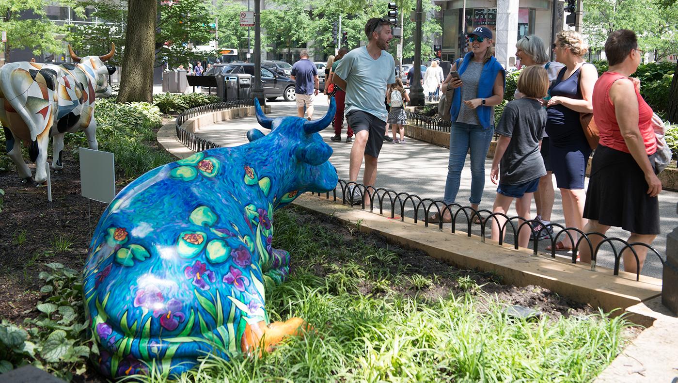 Cows Parade Once Again Through Downtown Chicago | WTTW Chicago