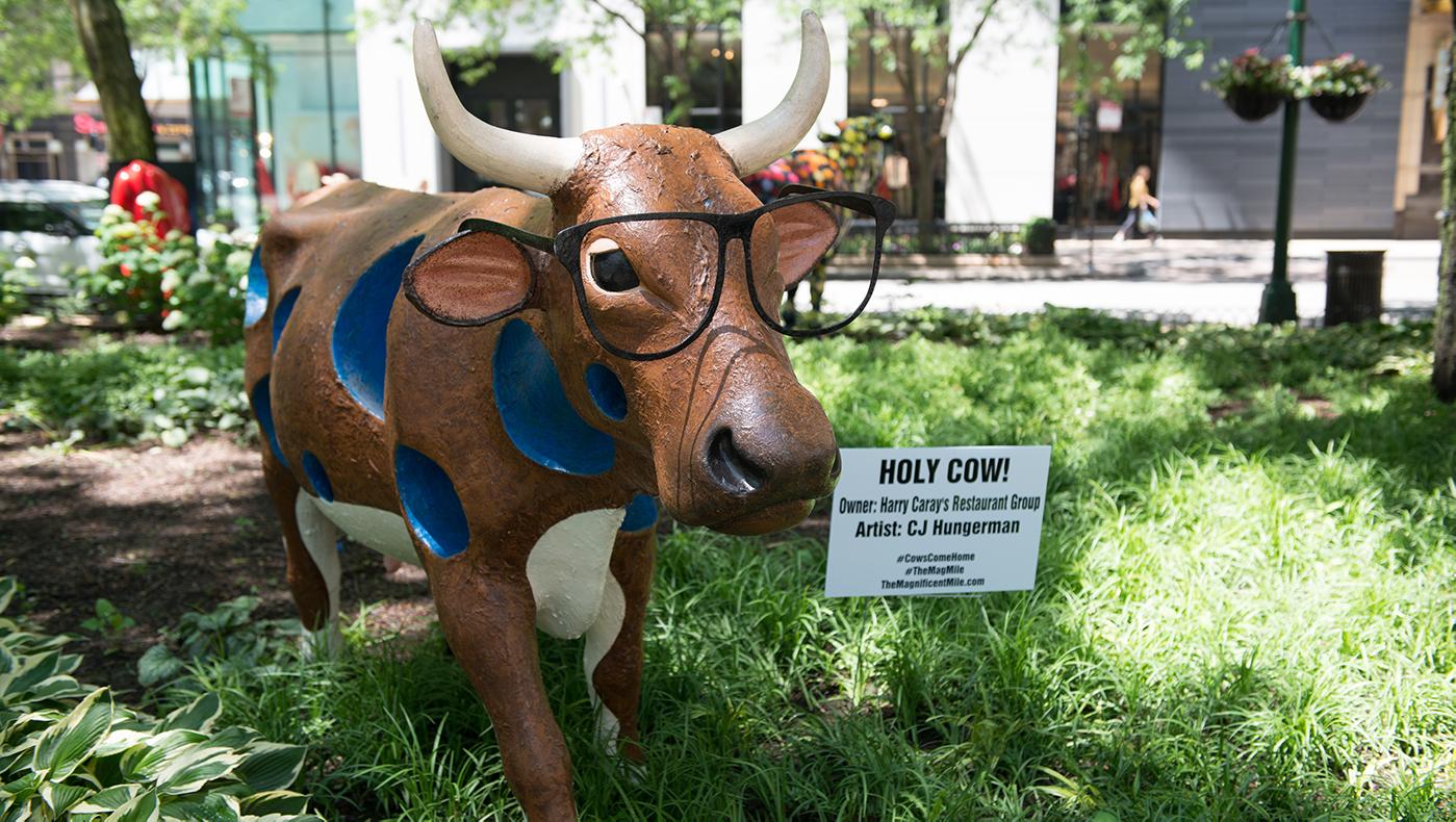 Cows Parade Once Again Through Downtown Chicago | WTTW Chicago