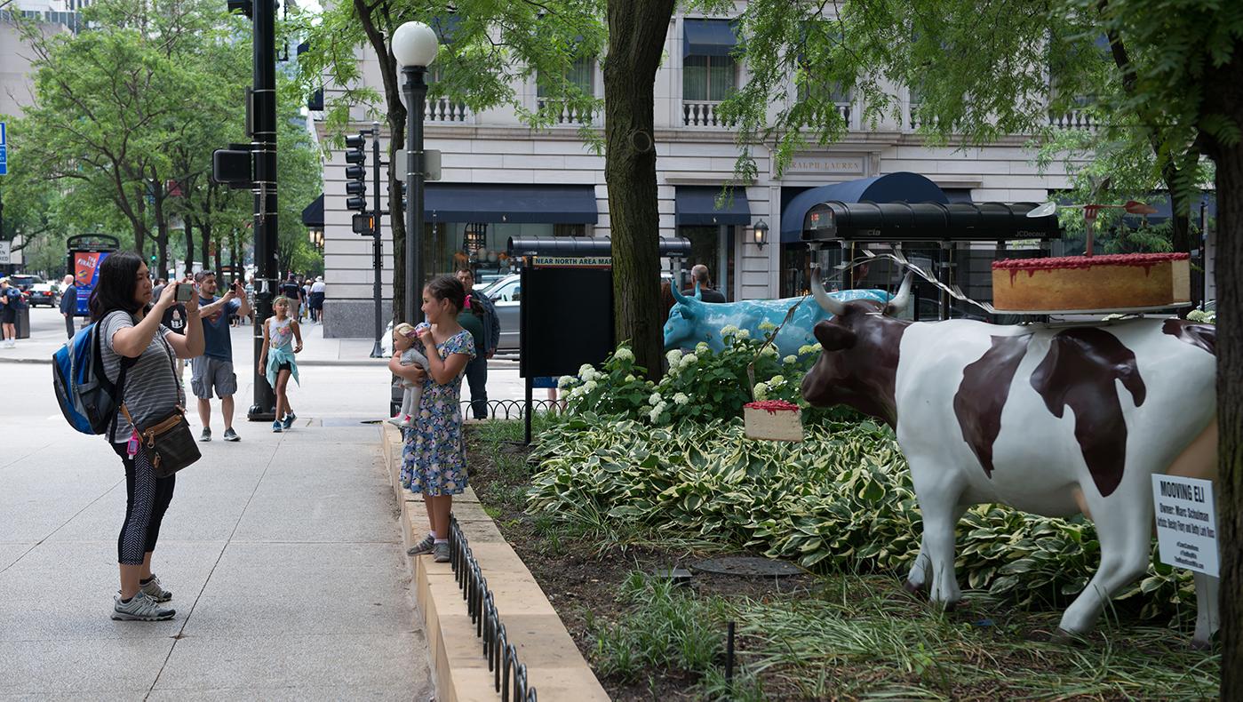 Cows Parade Once Again Through Downtown Chicago | WTTW Chicago